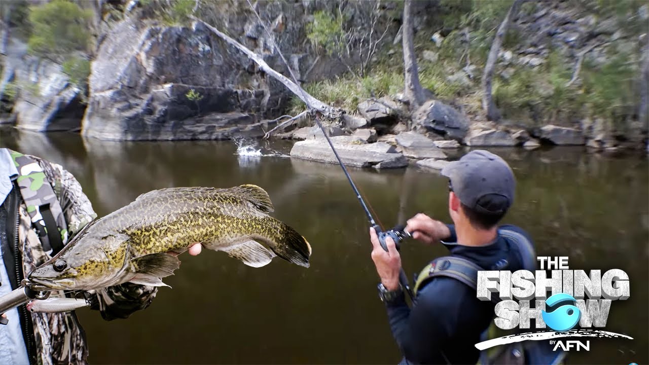 Murray Cod surface fishing In New England - YouTube