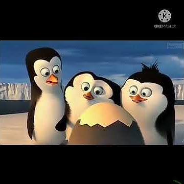 Badan Intelegen Bokep Dunia🐧 #shorts - YouTube