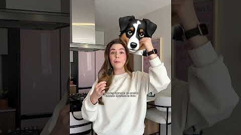 Tutoriales de EDICIÓN con CapCut e Inshot - YouTube