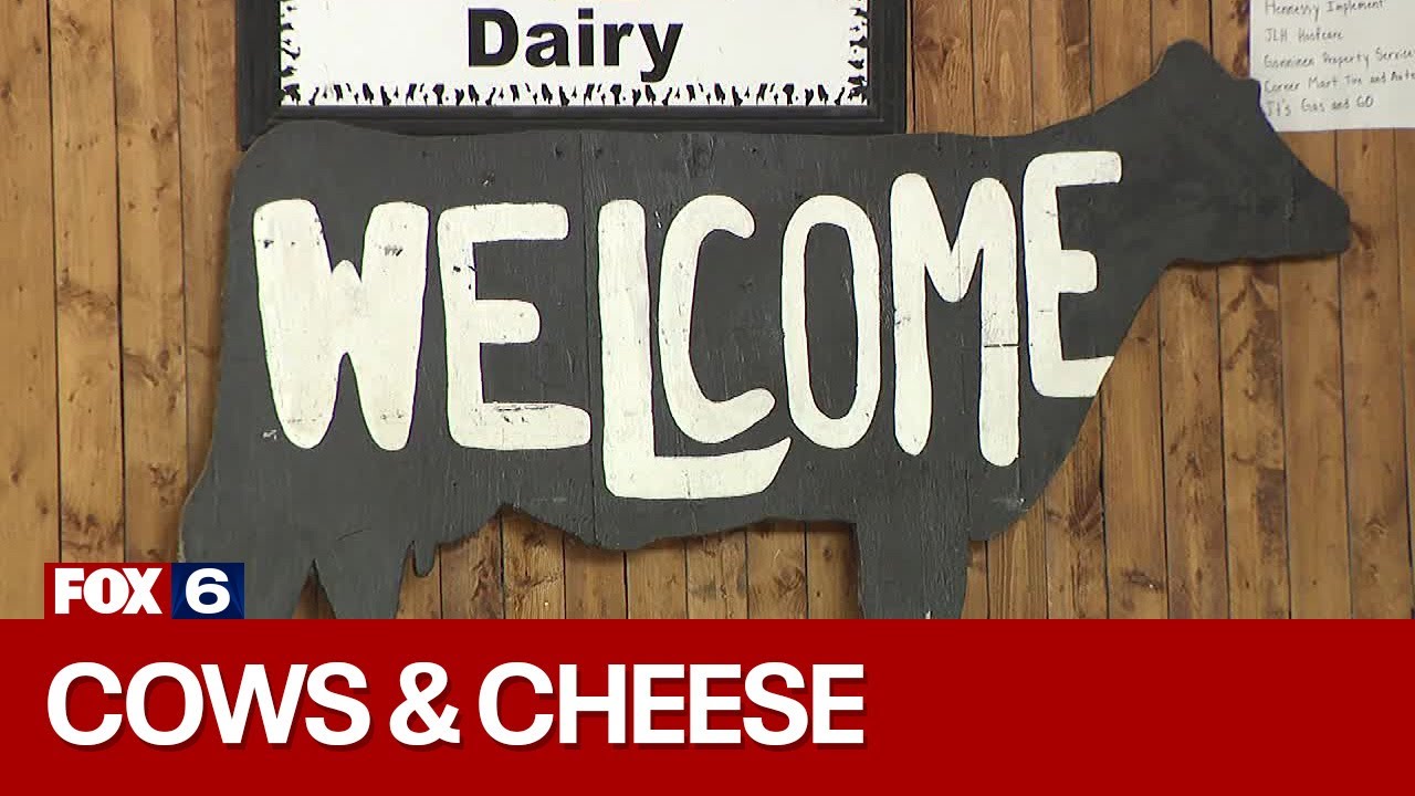 Highlighting cows, cheese at the Wisconsin State Fair | FOX6 News ...