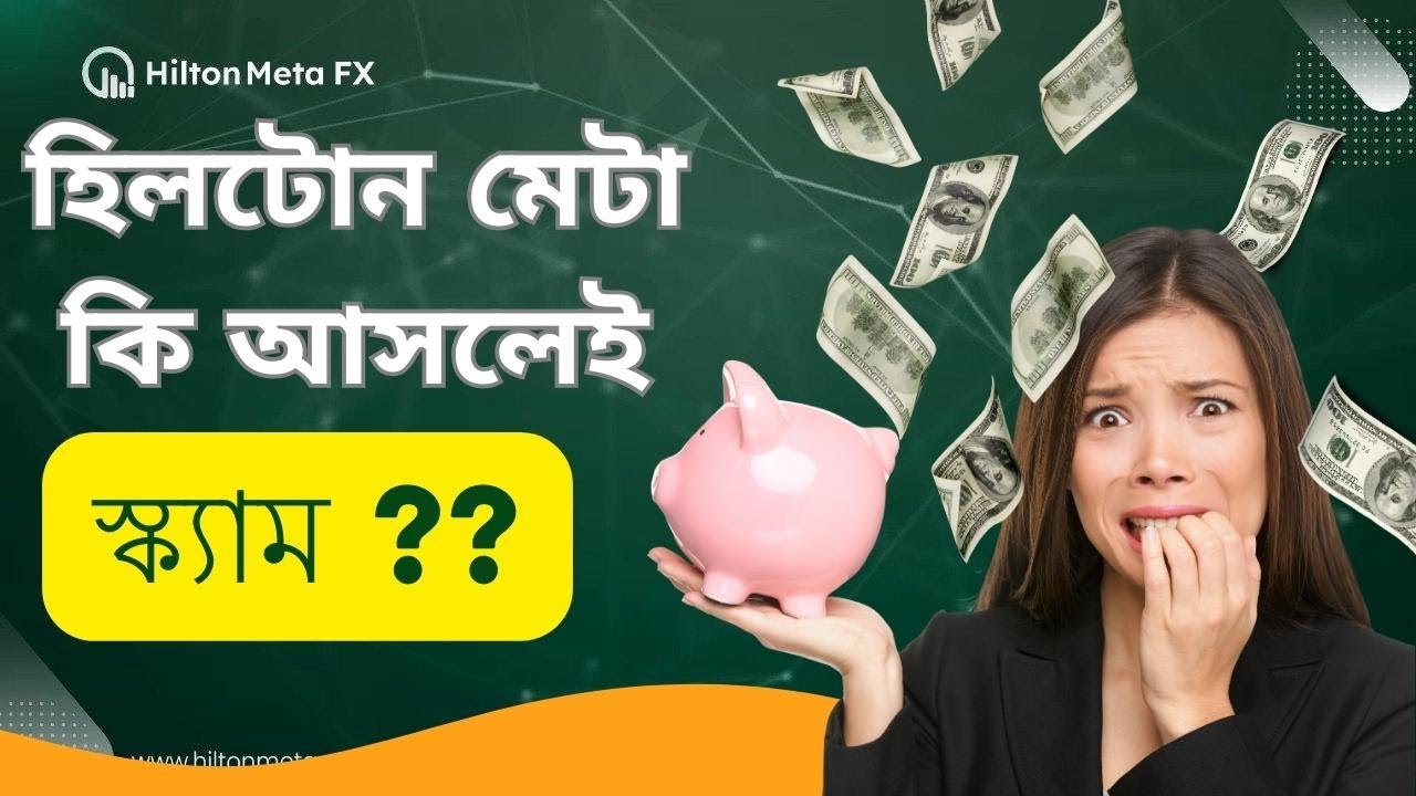 hilton meta fx bangla review |Hilton meta fx real or scam | হিলটোন মেটা ...