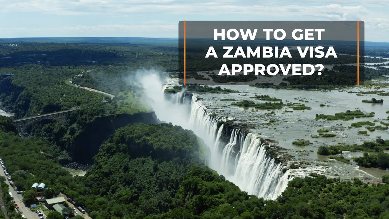 How It Works | Zambia Immigration Services - YouTube