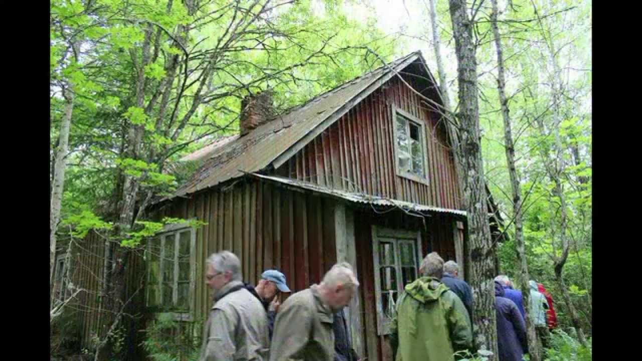 Harry Martinson och flykten från torpen - YouTube