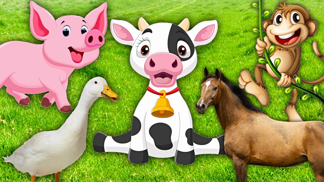 Farm animals sounds: cow, pig, duck, horse, monkey, chicken, elephant ...