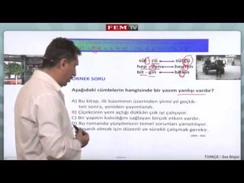 SES BİLGİSİ - 1
