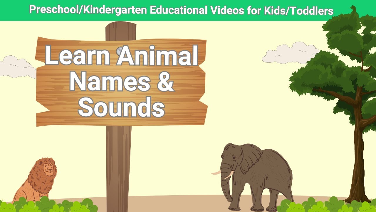 Learn Animal Names and Sounds in English|Preschool/Kindergarten ...