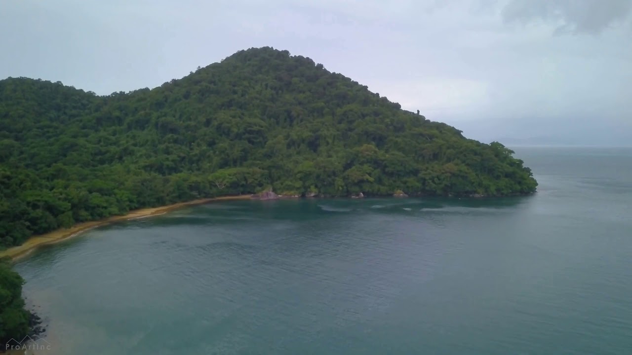 Incredible Nature and Wildlife of Madagascar - YouTube