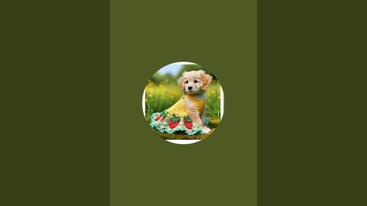 BOUCHI EMBROIDER est en direct ! - YouTube