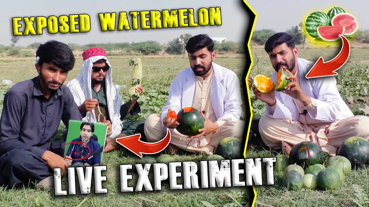 Live Eexperiment Expose Watermelon🍉 | Watermelon Ko Injection💉 Lgana Ka ...