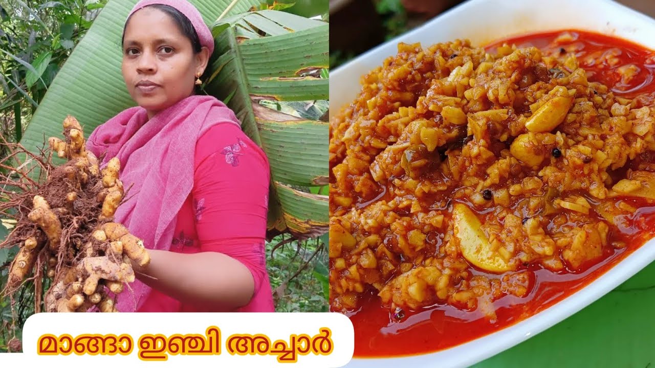 മാങ്ങാ ഇഞ്ചി തേടി നടന്ന ഒരു ദിവസം😋😋 |മാങ്ങാ ഇഞ്ചി സ്പെഷ്യൽ അച്ചാ ...