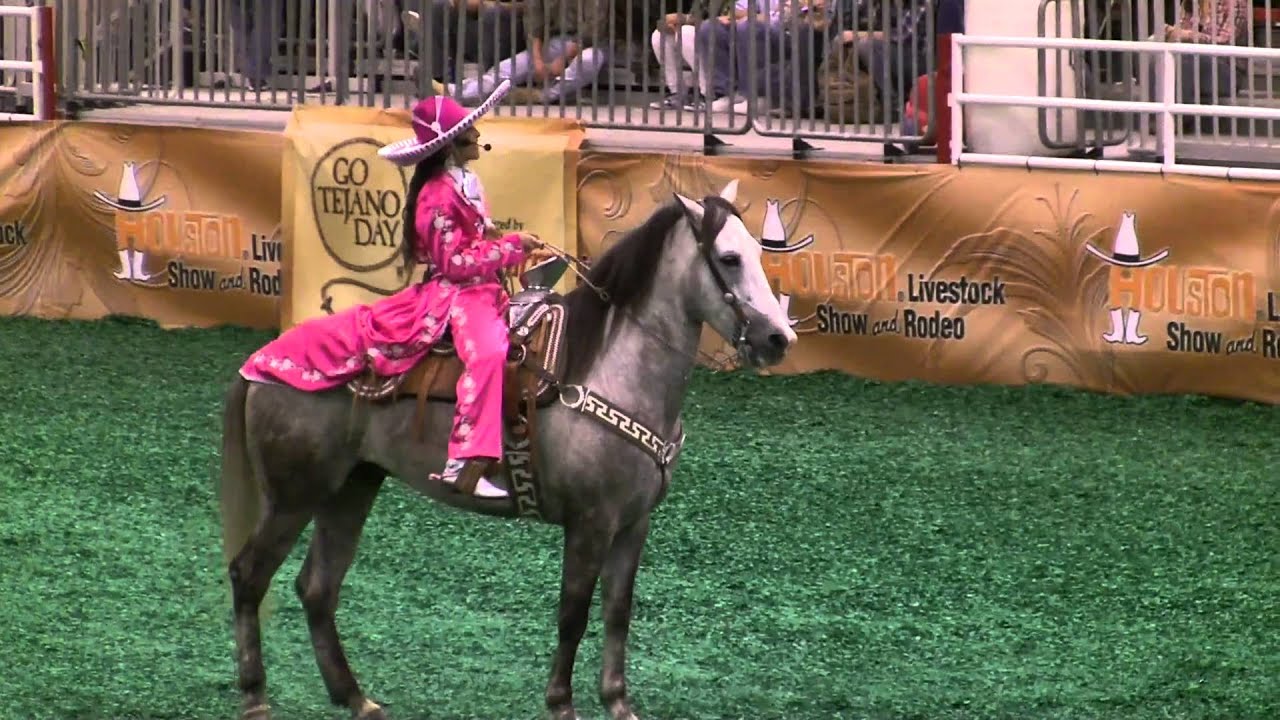 Abrina Torres - Houston Livestock Show & Rodeo Reliant Center Arena ...