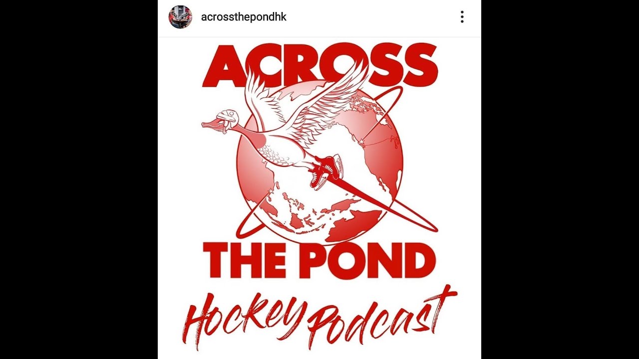 ATP Hockey Talks Vol 40 Terry Whelan The Mighty Ducks - YouTube