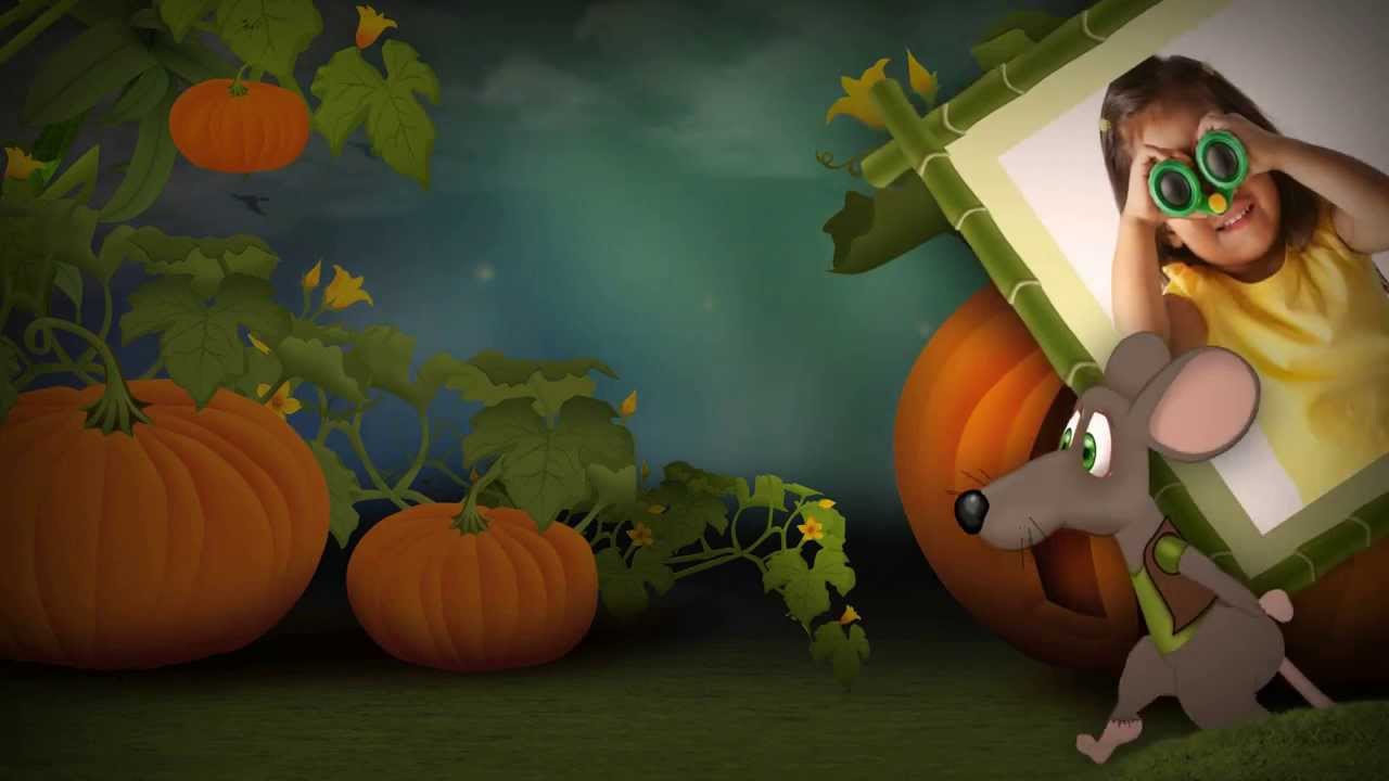 Little Mouse Fun Photo Show - YouTube