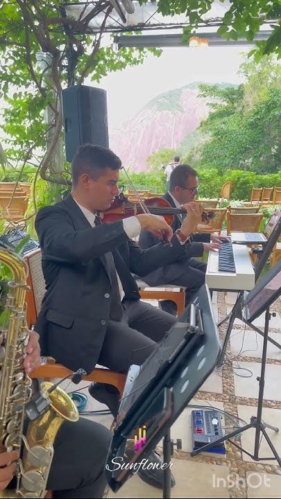 Turning Page | Sleeping At Last | Sunflower Orquestra #casamento #noiva #viralvideo - YouTube