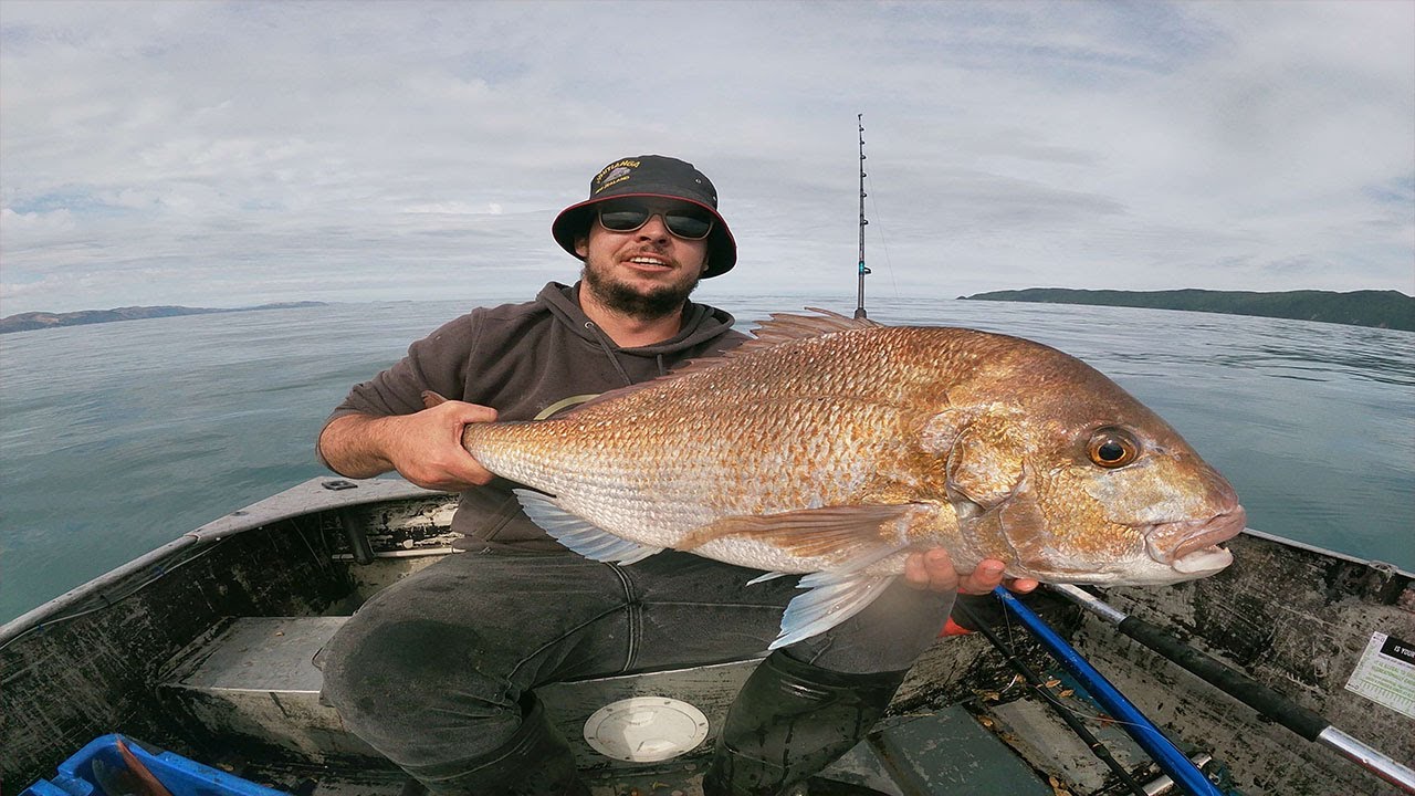 Hunting For A BIG SNAPPER. Wellington. Kapiti. New Zealand - YouTube