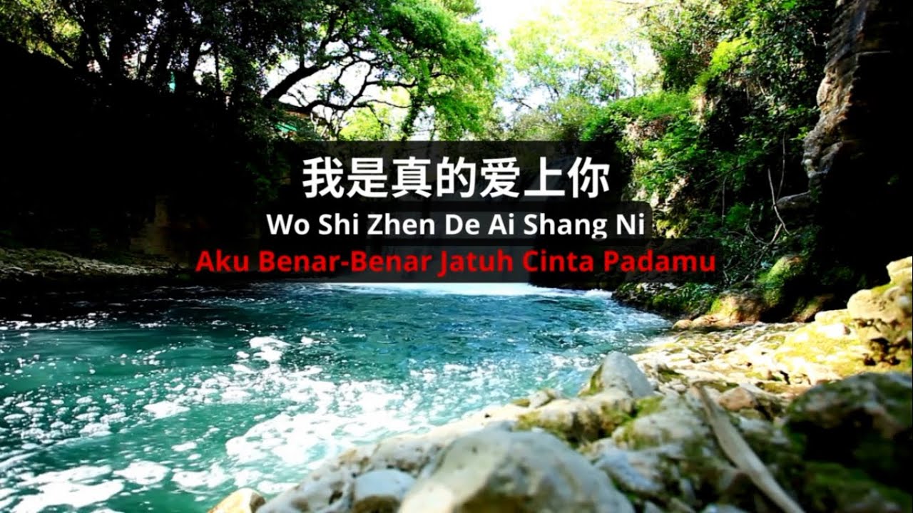Wo Shi Zhen De Ai Shang Ni《我是真的爱上你》【Lagu Mandarin】- Dave Wang (王傑 ...