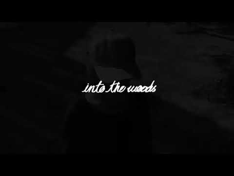 วันหนึ่งฉันเดินเข้าป่า (into the woods) feat. หญิง พรปวีณ์ [ Unofficial MV ]