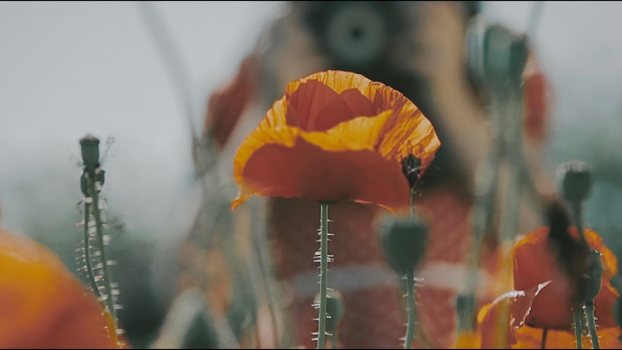 Andrew Sloman - One And All - YouTube