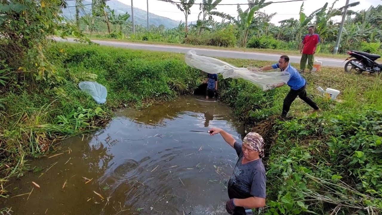 Net Casting Part 2 | Menjala Ikan Di Tepi Jalan Raya - YouTube