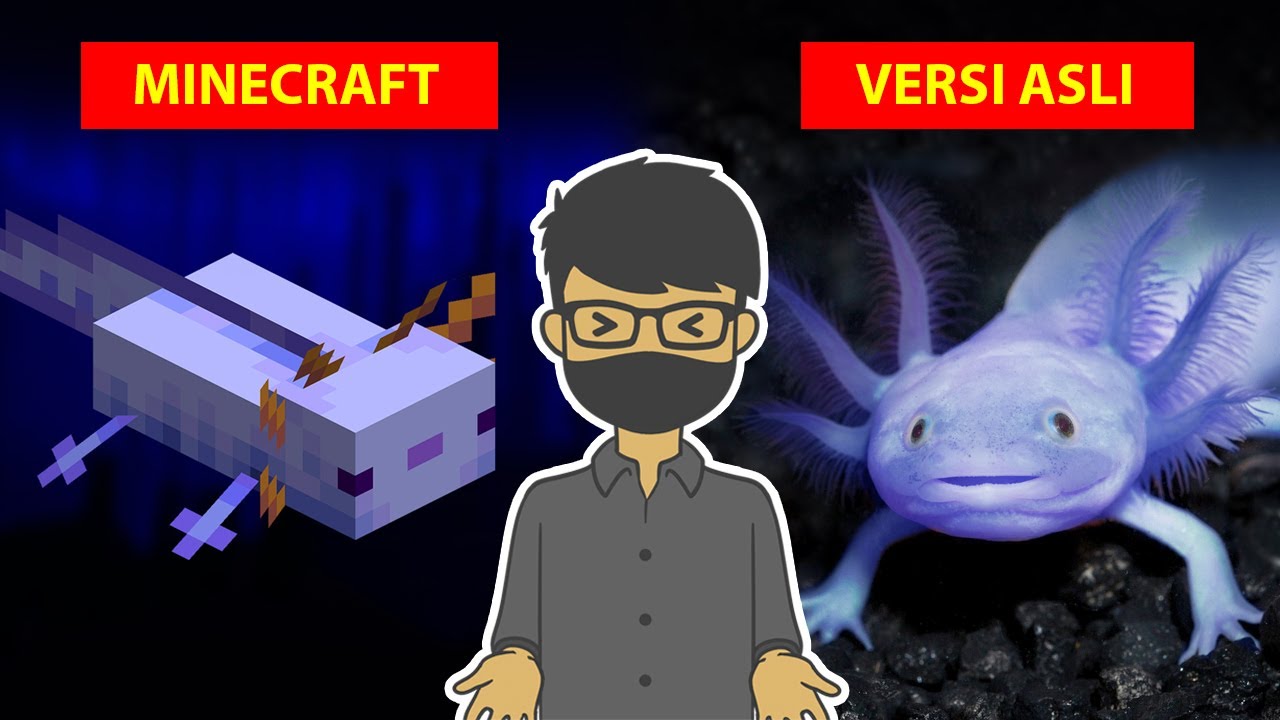 WUJUD ASLI HEWAN MINECRAFT DI DUNIA NYATA - YouTube
