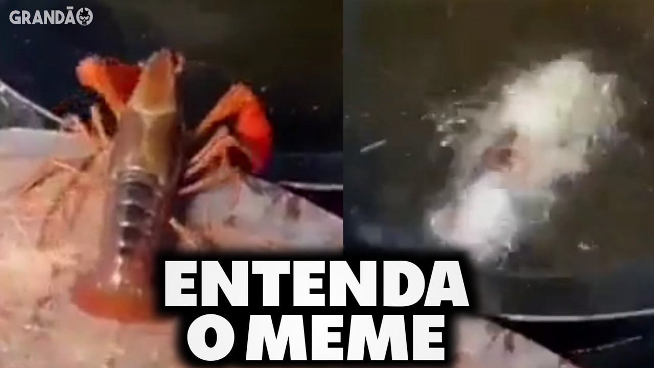 Lagosta Caindo No Óleo - Meme Explicado - YouTube