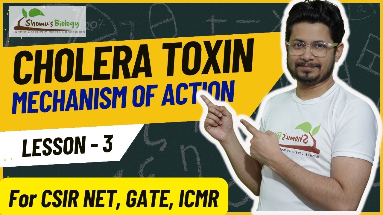 Cholera toxin mechanism of action | How Cholera toxin works? - YouTube