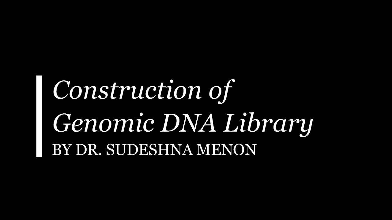 Construction of Genomic DNA Library - YouTube
