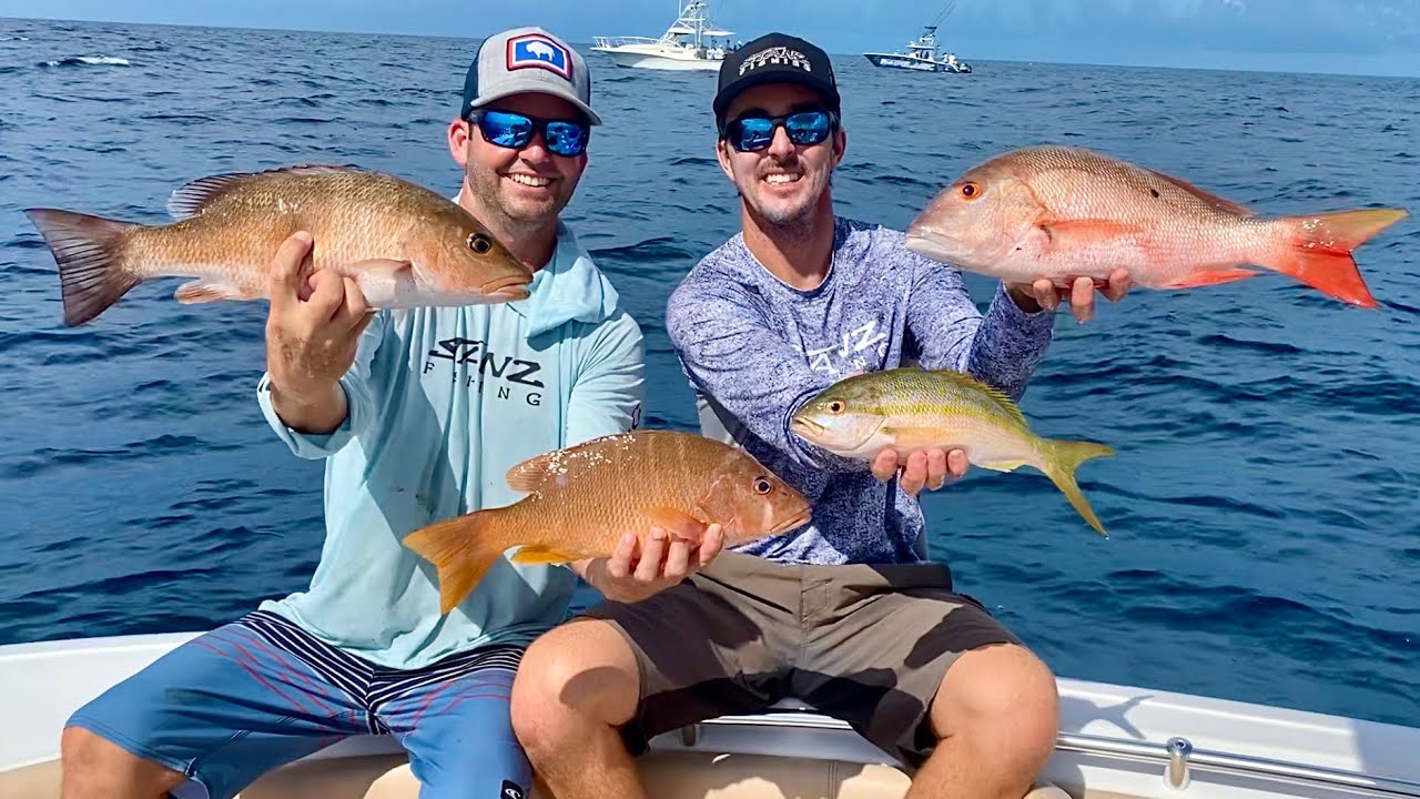 Snapper after Snapper on the REEF! Species Comparison! Catch Clean and ...