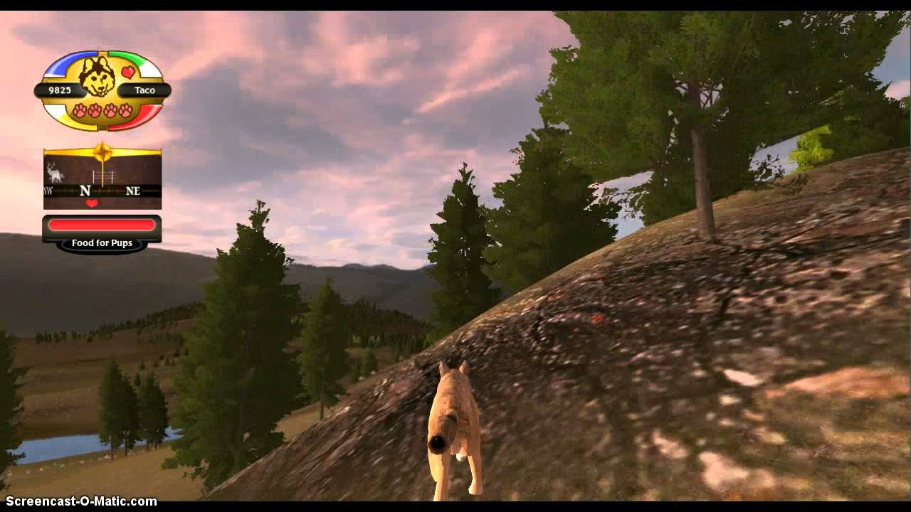 WolfQuest Part 3 cattle ranch! - YouTube