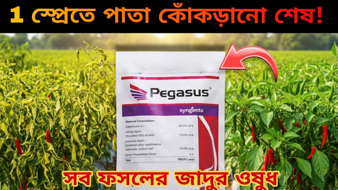 Lanka Gacher Pata Kokrano Roger Samadhan | Pegasus 50 SC Uses | ১টি ...