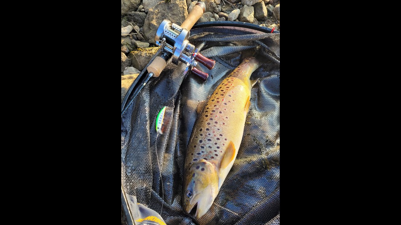 Lure fishing for trout with bfs gear - YouTube