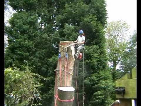 Hobbs and Stein Tree Lowering devices, Blocking - rctree.ca - YouTube