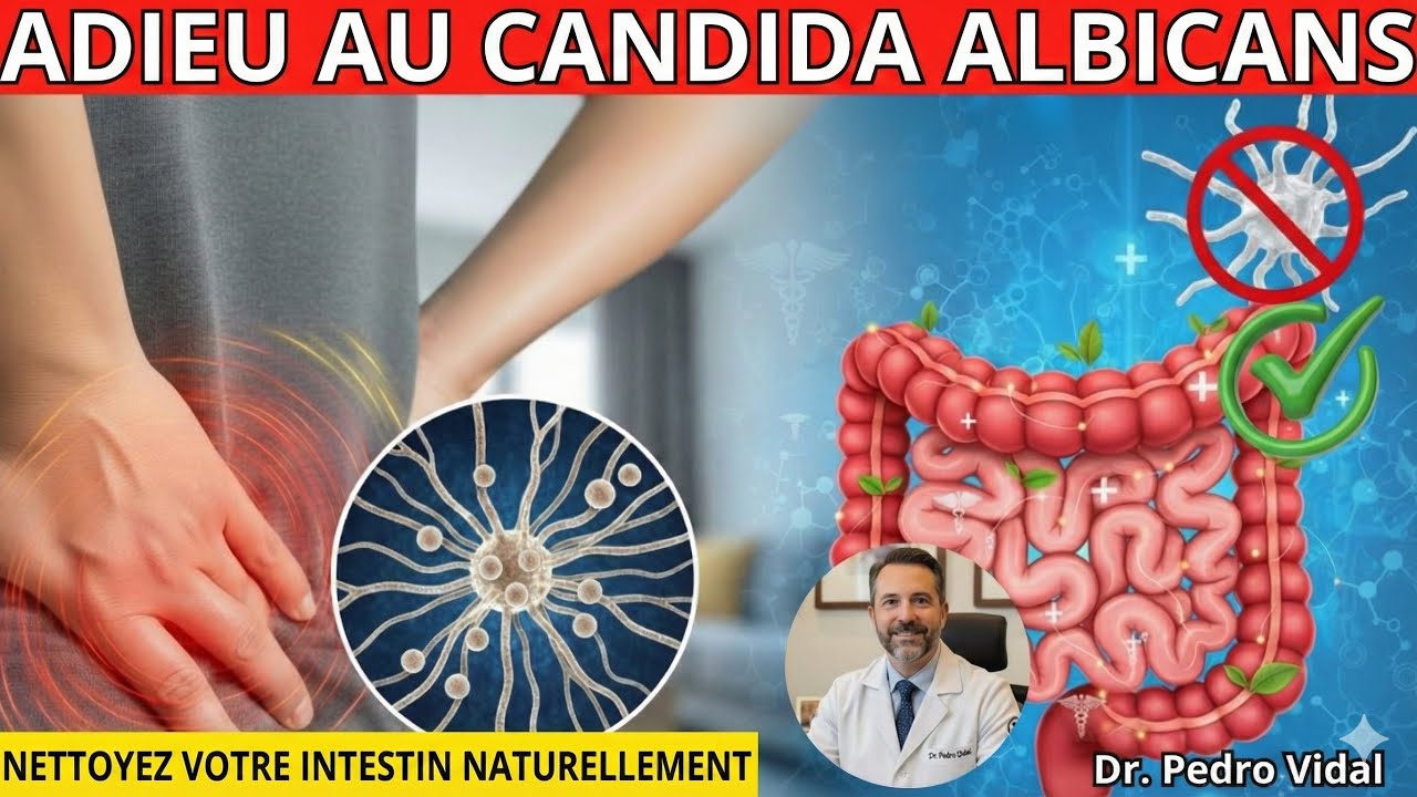 CANDIDA albicans intestinal : 5 aliments validés par la science pour le ...