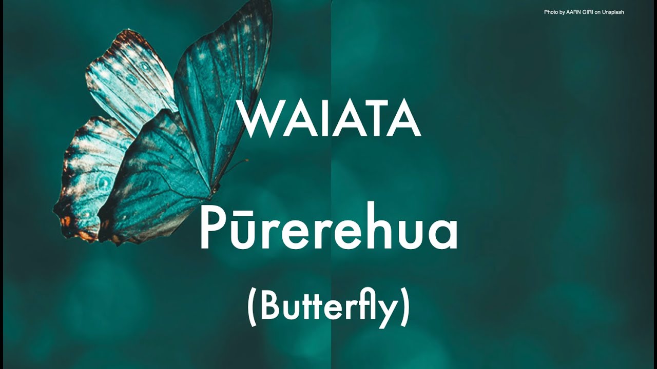 Pūrerehua Waiata - YouTube