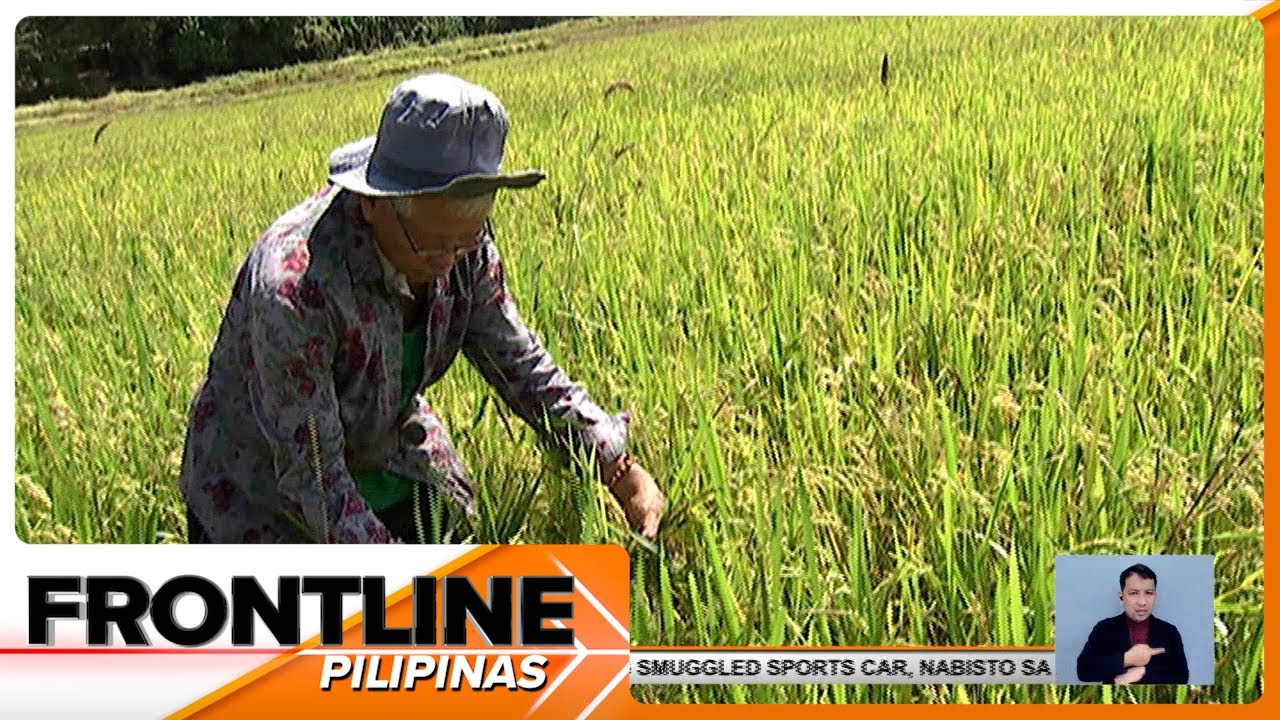 Mahigit P151-M halaga ng agrikultura, napinsala ng El Niño | Frontline Pilipinas - YouTube