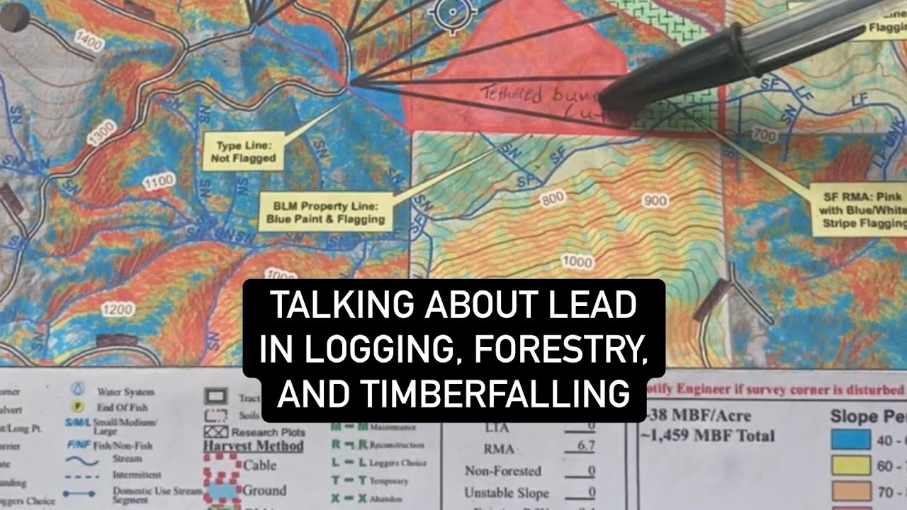 Talking about LEAD in Logging, Forestry, and Timberfalling (What, Where ...