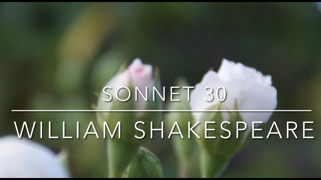 Sonnet 30 | William Shakespeare | #love #thoughts #beloved #remember # ...