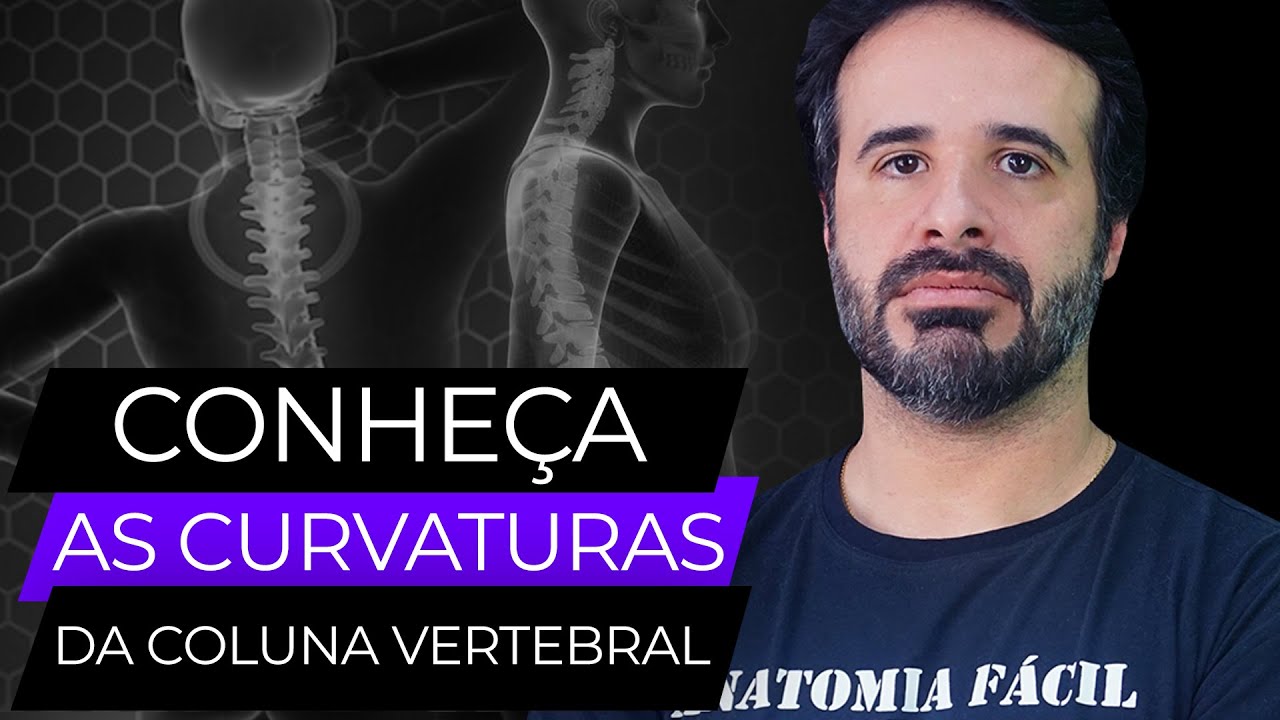 LORDOSE E CIFOSE: CONHEÇA AS CURVATURAS DA COLUNA VERTEBRAL. - YouTube
