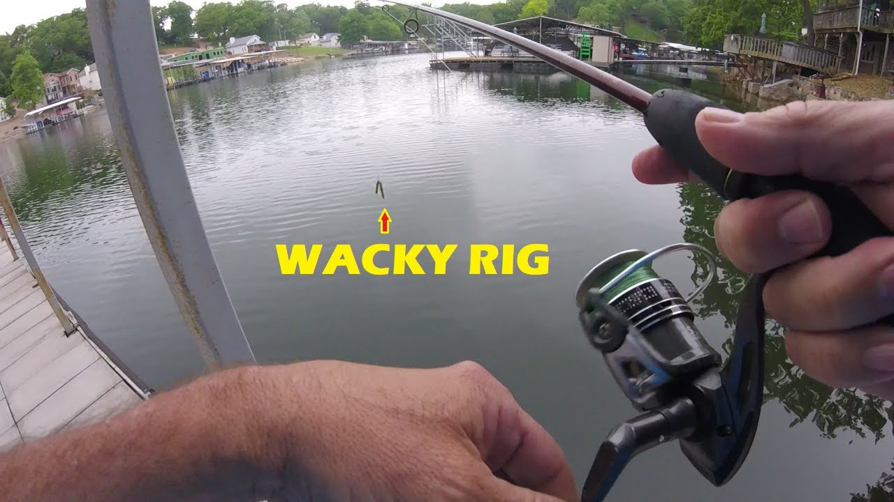 Catching NICE BASS on the WACKY RIG. First Bass Ever on this awesome ...