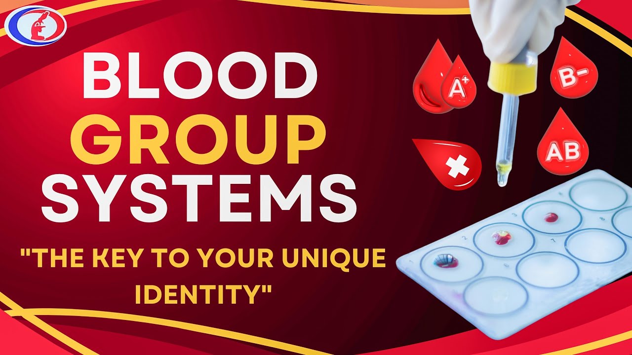 "Understanding Blood Groups: The Science Behind Your Blood Type" - YouTube