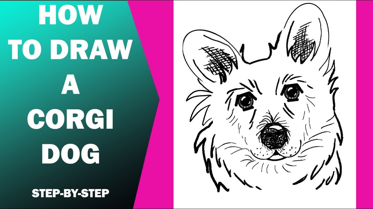 How to Draw a Corgi Dog - step-by-step - YouTube