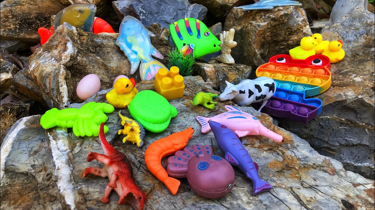 Tumpukan Mainan Hewan Laut Di Atas Batu, Bintang Laut, Ayam, Bebek ...