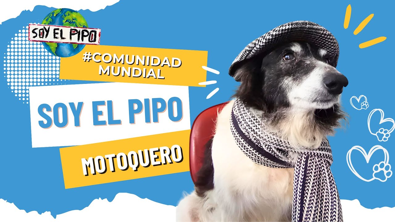 Soy El Pipo Motoquero - La voz de los Perros Abandonados - #1 - YouTube