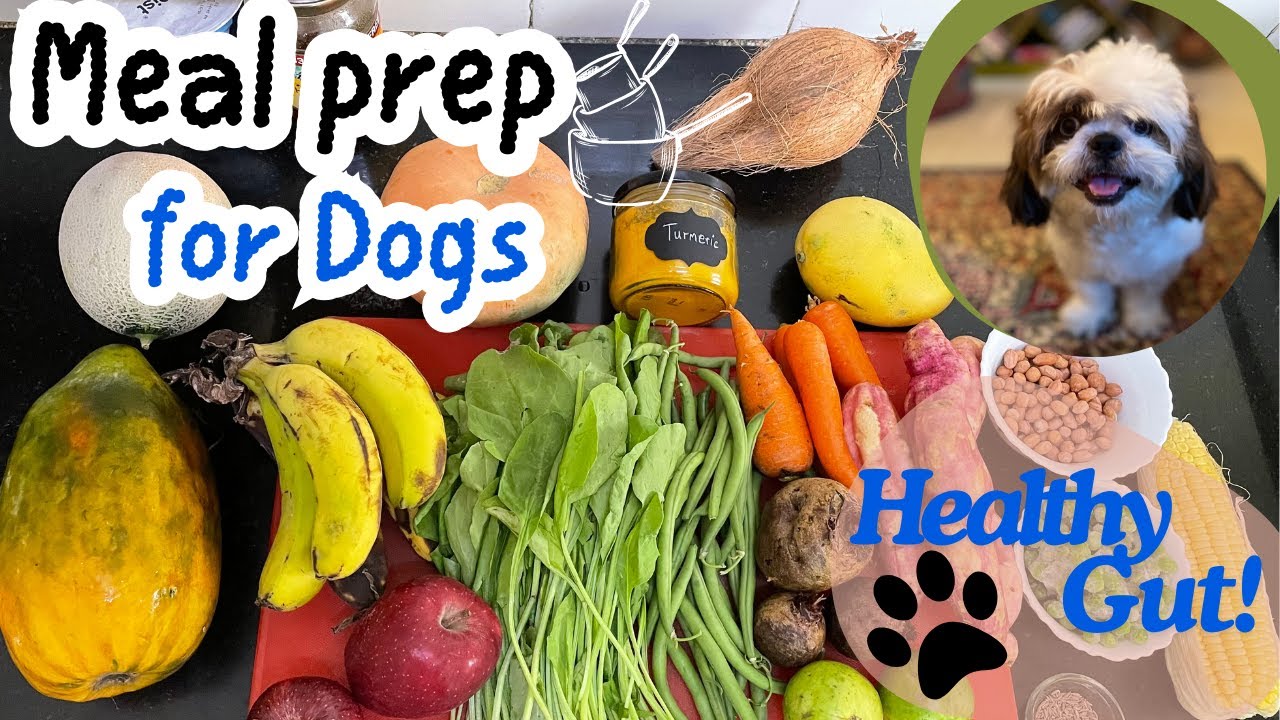 Healthy meal prep for dogs - YouTube