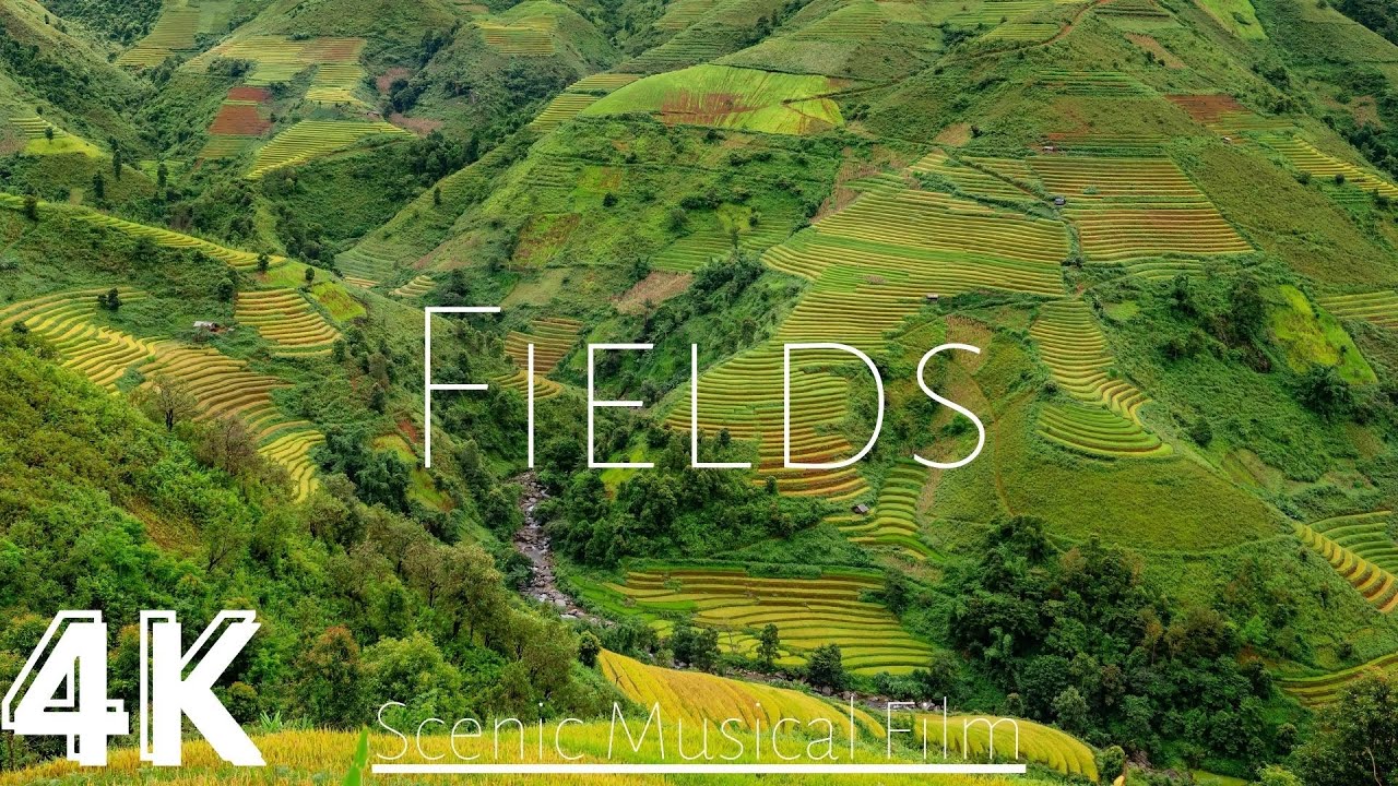 Scenic Fields 4K - Scenic Relaxation Film with Relaxing Music - YouTube