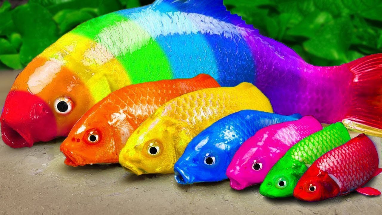 RAINBOW CARP ️ Cute Gold Crocodile, Colorful Koi fish crab trap and ...