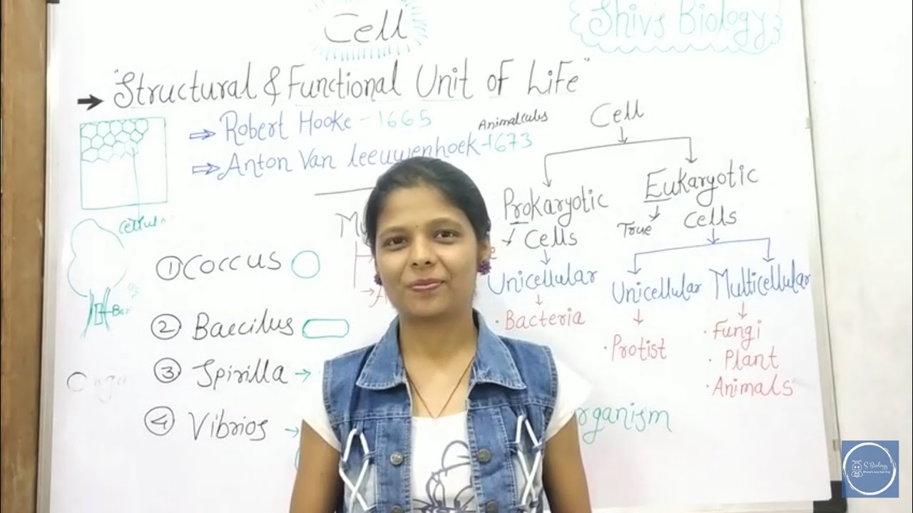 Basics Of Cell Defination Of Cell Brief Introduction About Cell basics-of-cell-defination-of-cell-brief-introduction-about-cell