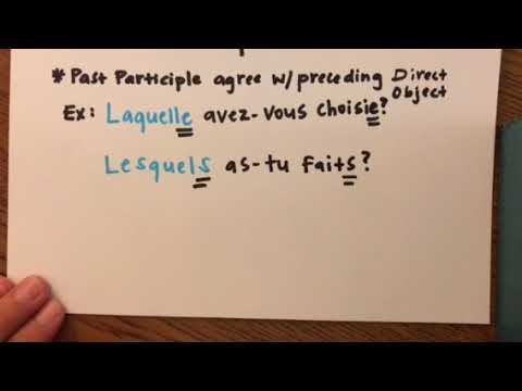 Interrogative Pronoun Lequel - YouTube