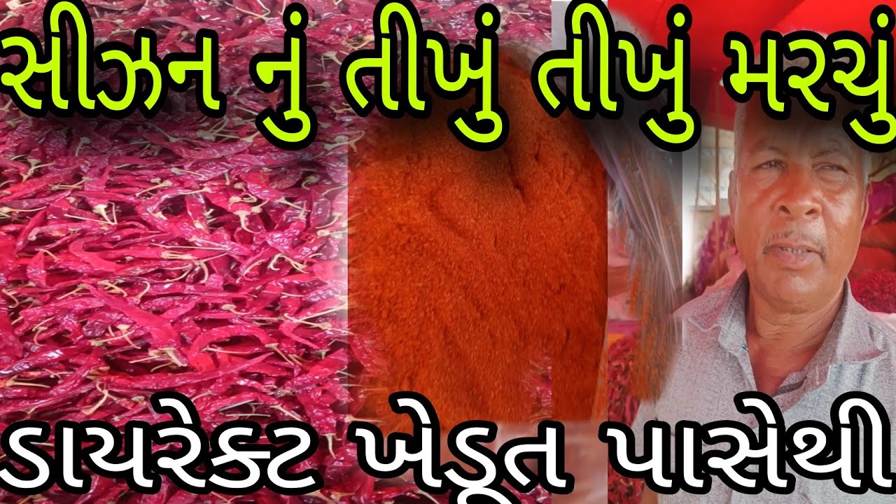 વ્યાજબી ભાવે સીઝન નું મરચું ડાયરેક્ટ ખેડૂત પાસેથી ખરીદો | Prachal Foods ...
