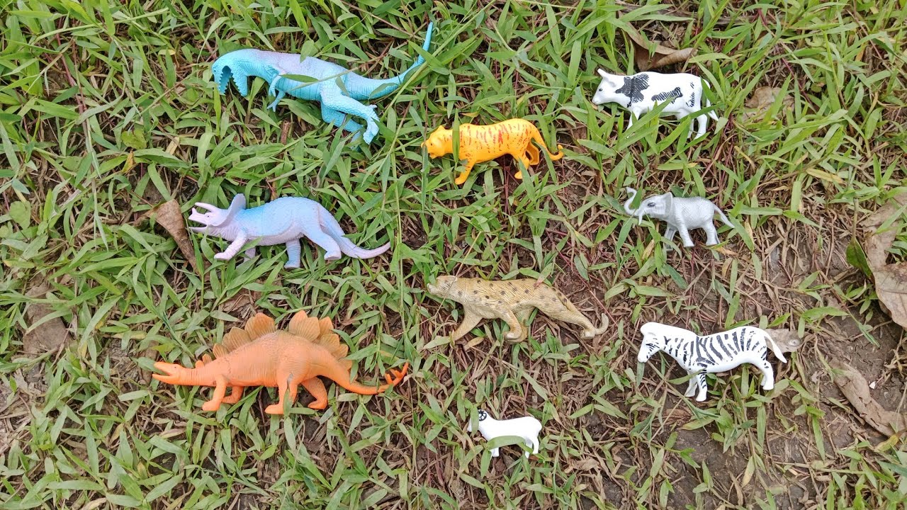 menemukan mainan,,!? dinosaurus tirek,gajah,harimau,domba,zebra,sapi ...